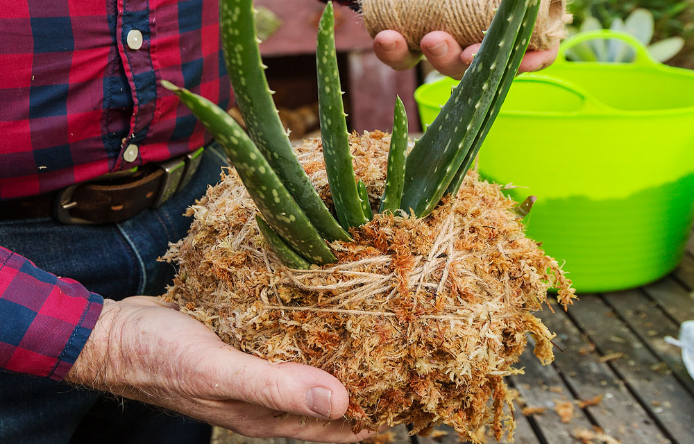 How to make a kokedama | Better Homes and Gardens