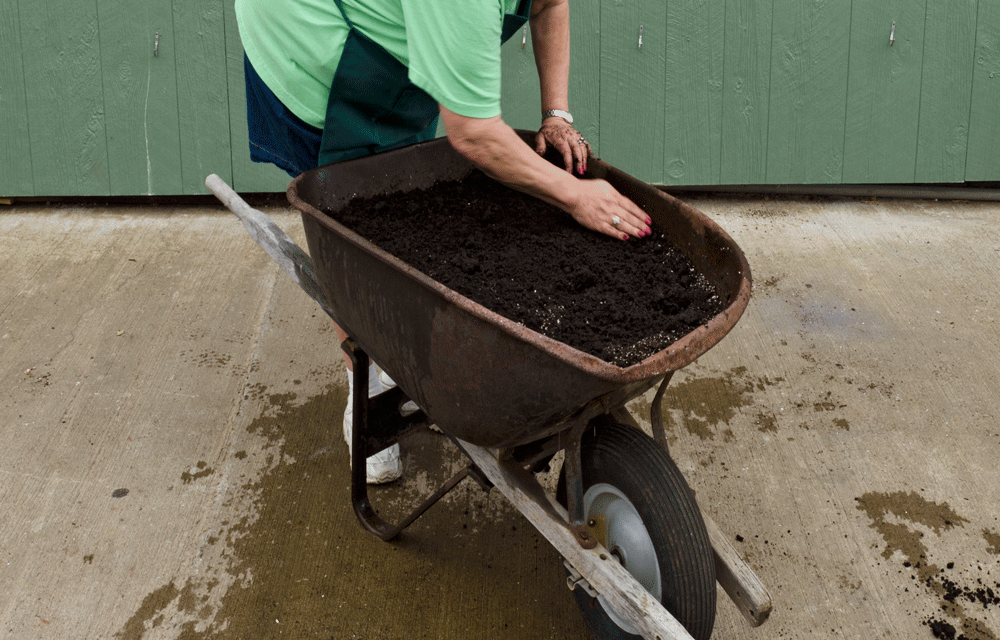 How To Make A Wheelbarrow Fairy Garden | Better Homes and Gardens