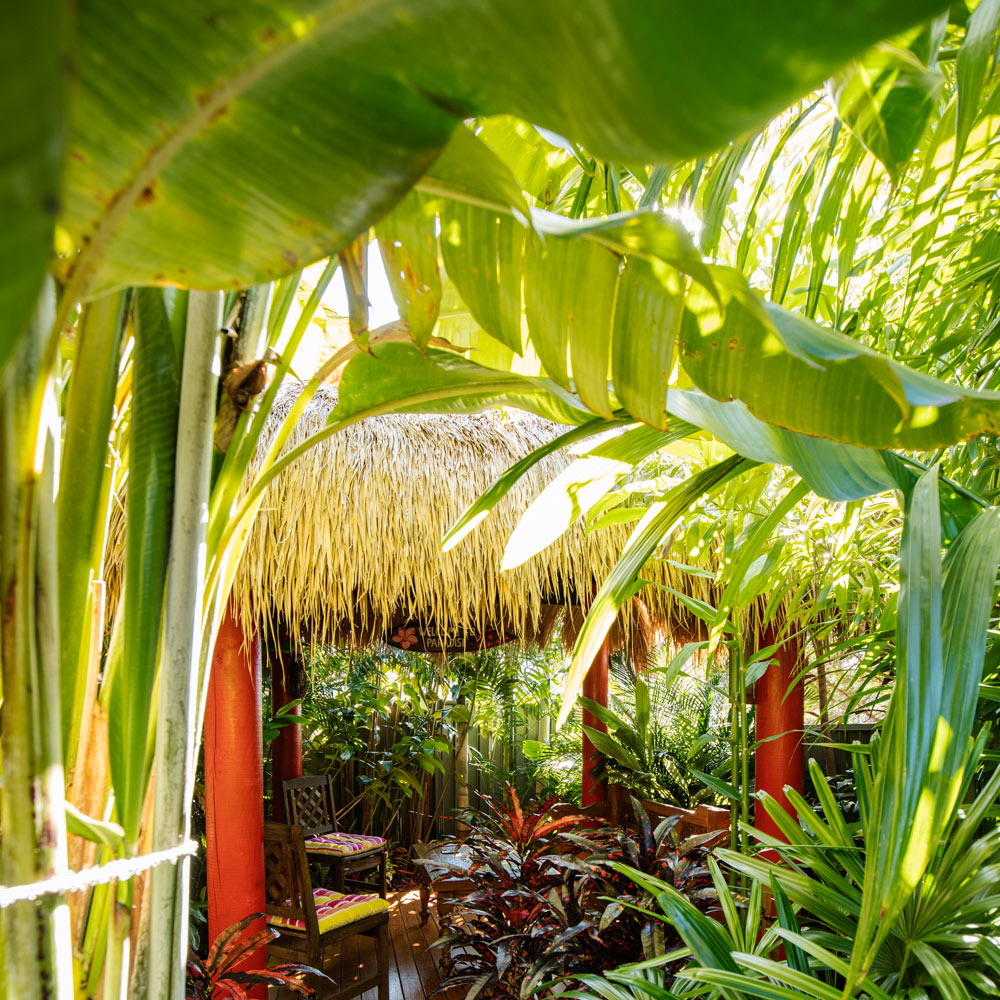 Create your own tropical backyard oasis | Better Homes and Gardens