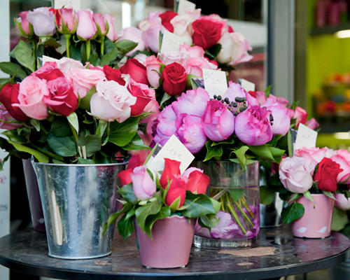 9 tips for buying fresh flowers | Better Homes and Gardens