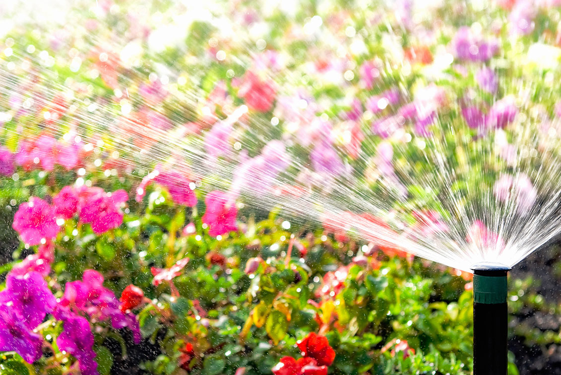 Backyard ideas: How to irrigate your garden beds | Better Homes and Gardens