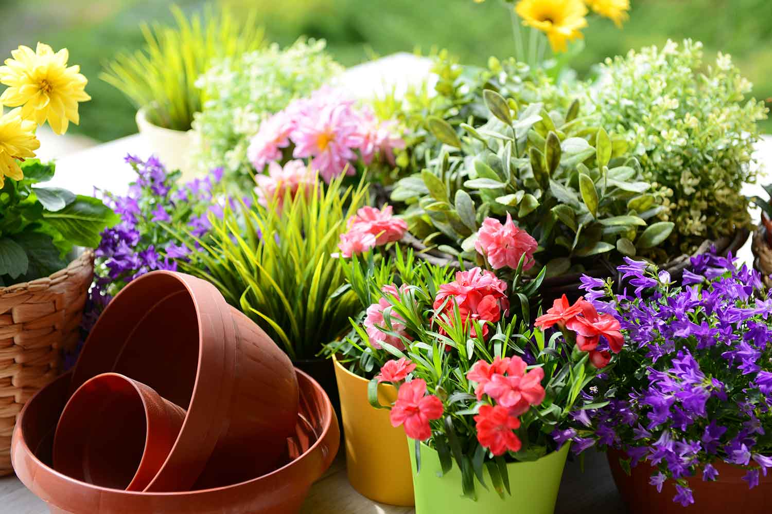 Simple ways to embellish your garden in spring | Better Homes and Gardens