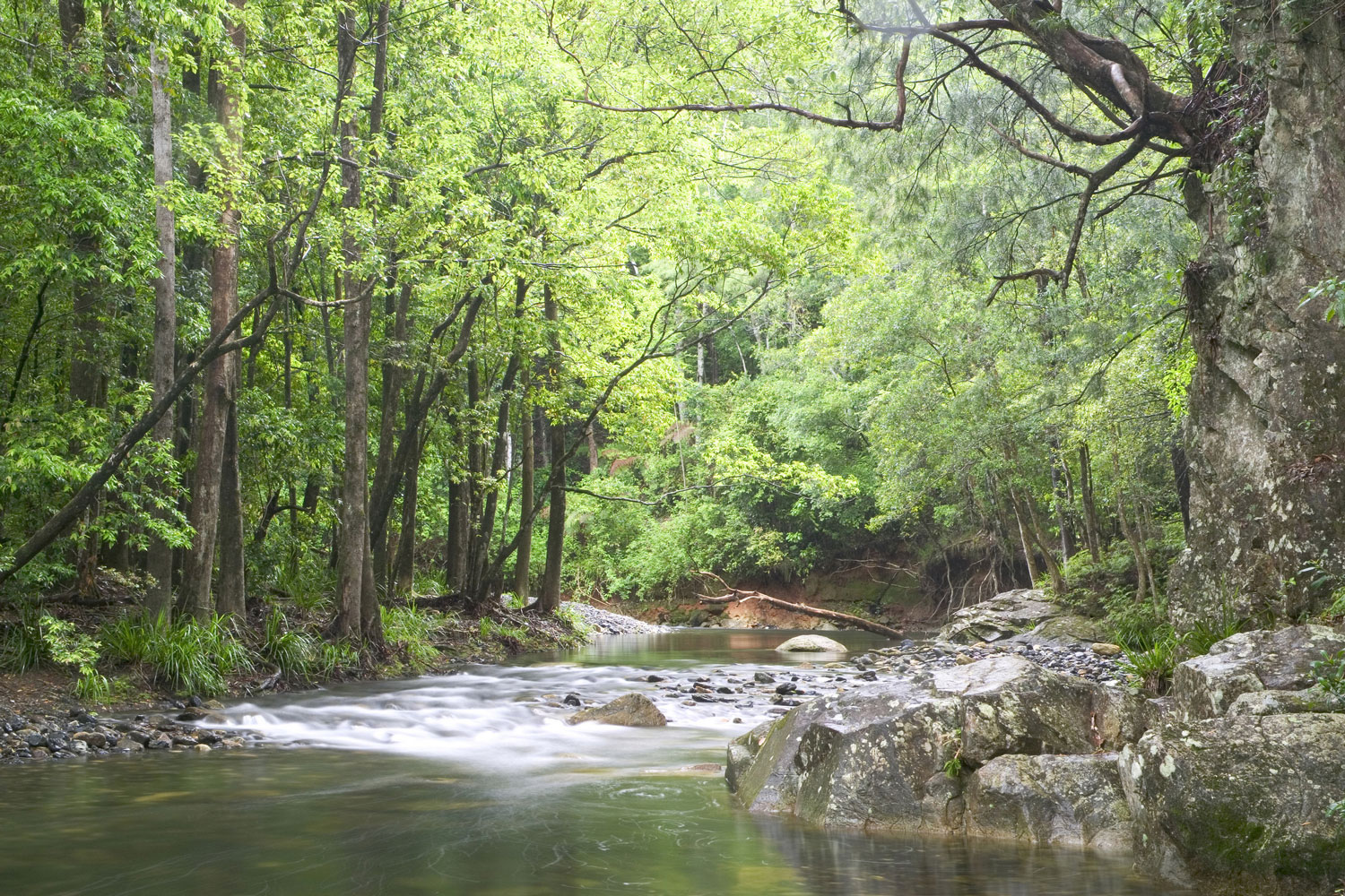 Bellingen: All the things to see and do | Better Homes and Gardens