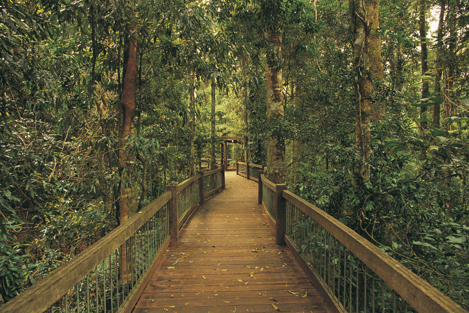 Bellingen: All the things to see and do | Better Homes and Gardens
