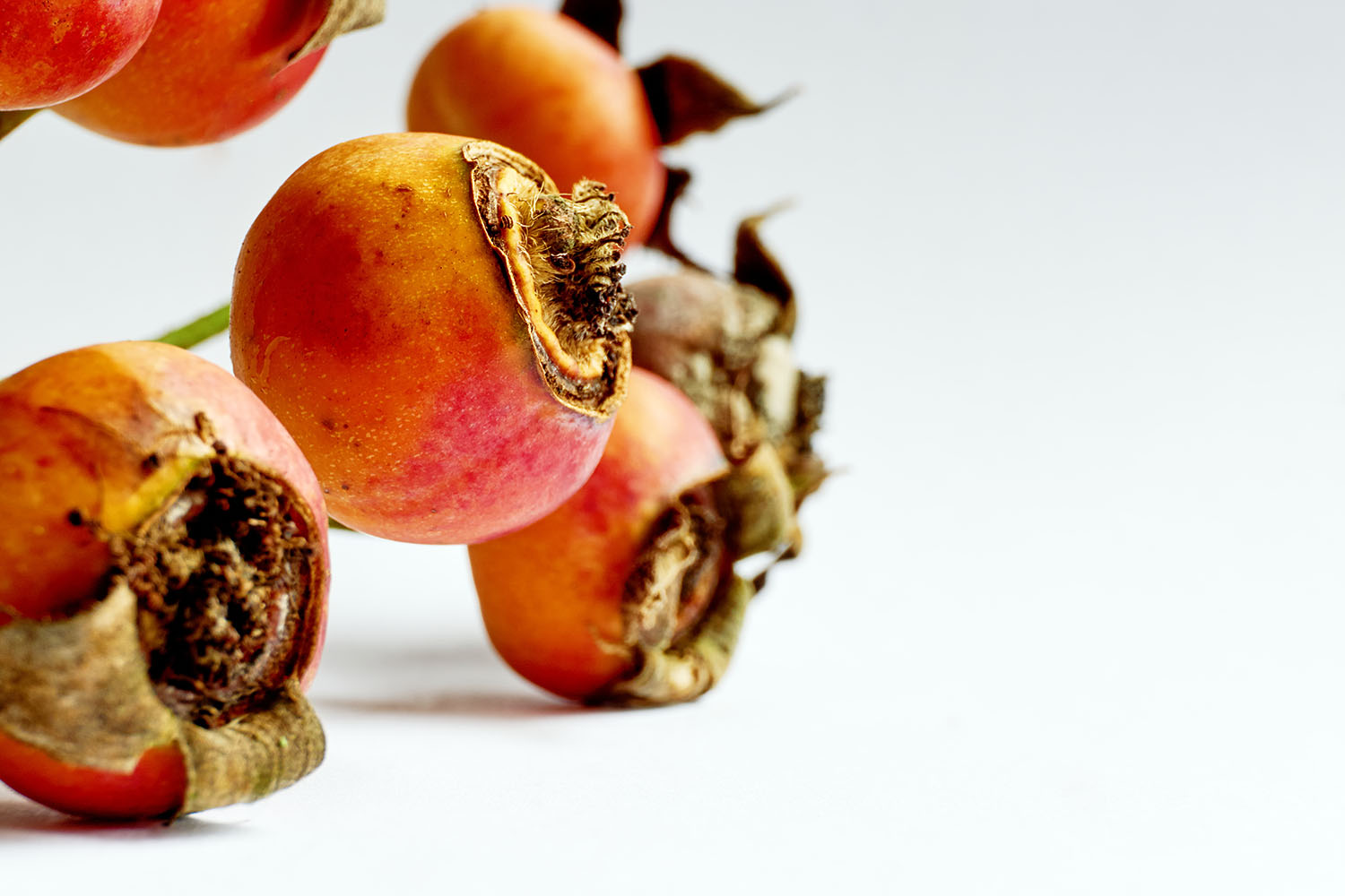 10 reasons why you should be using rosehip oil | Better Homes and Gardens