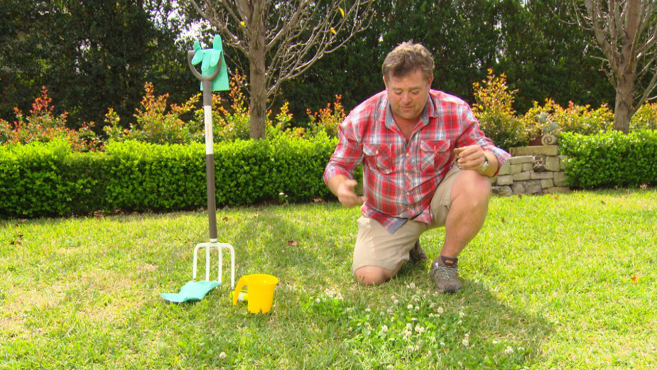 Summer Lawn Tips | Better Homes and Gardens