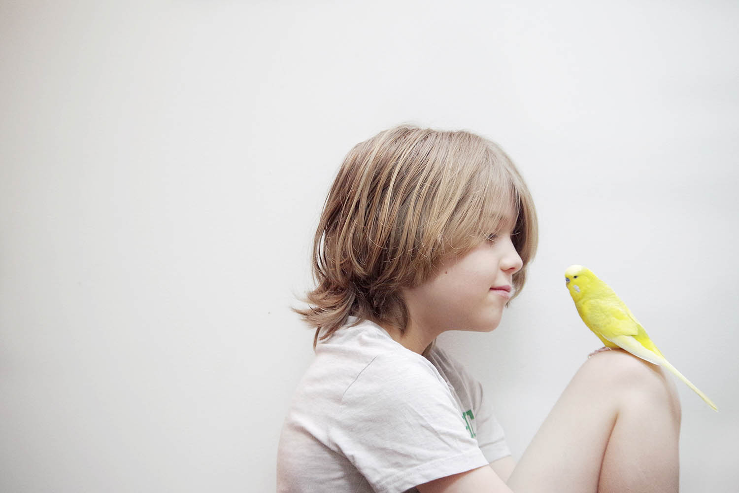 How to get your kids to look after their pets | Better Homes and Gardens