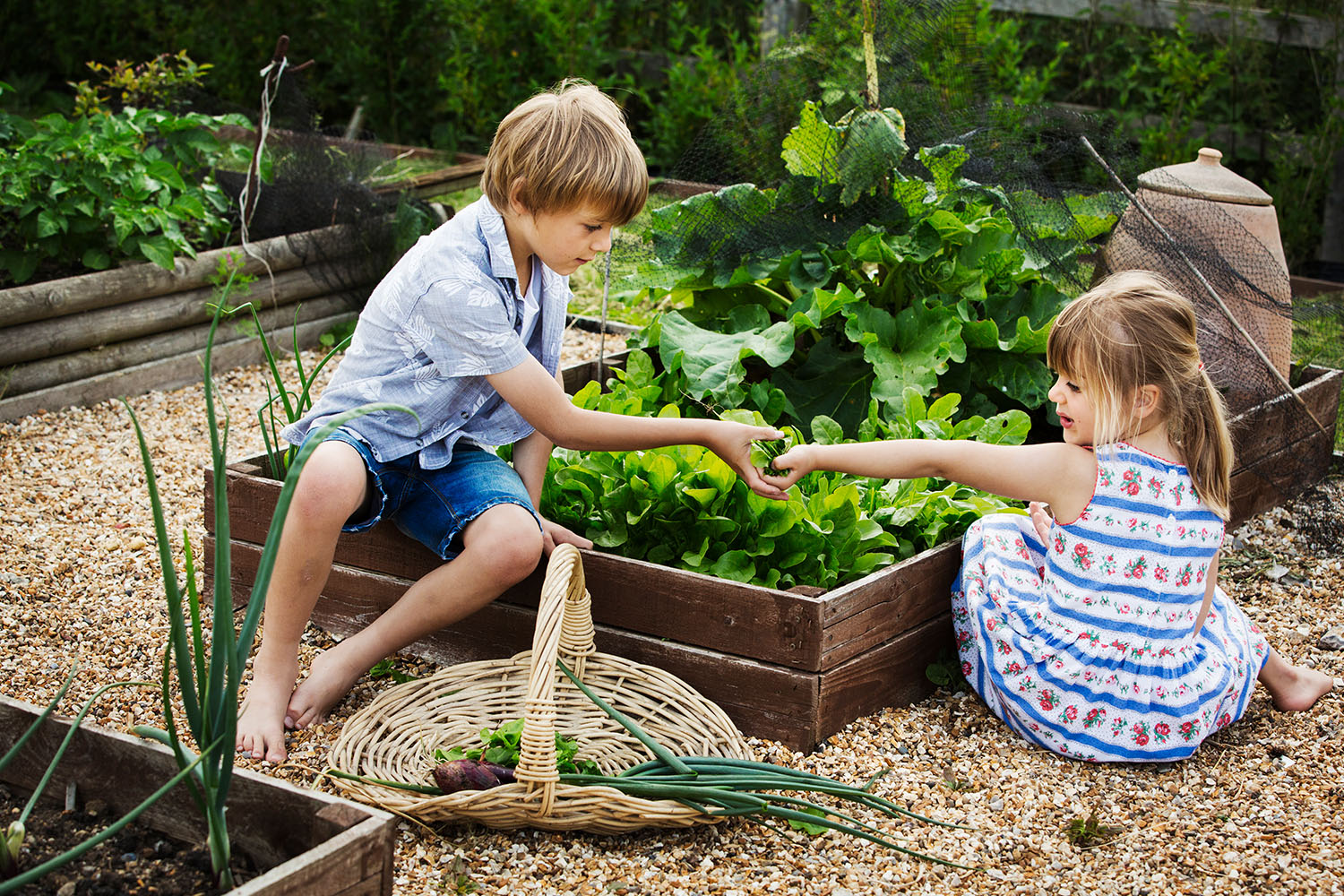 5 ways to add colour to your garden this winter | Better Homes and Gardens