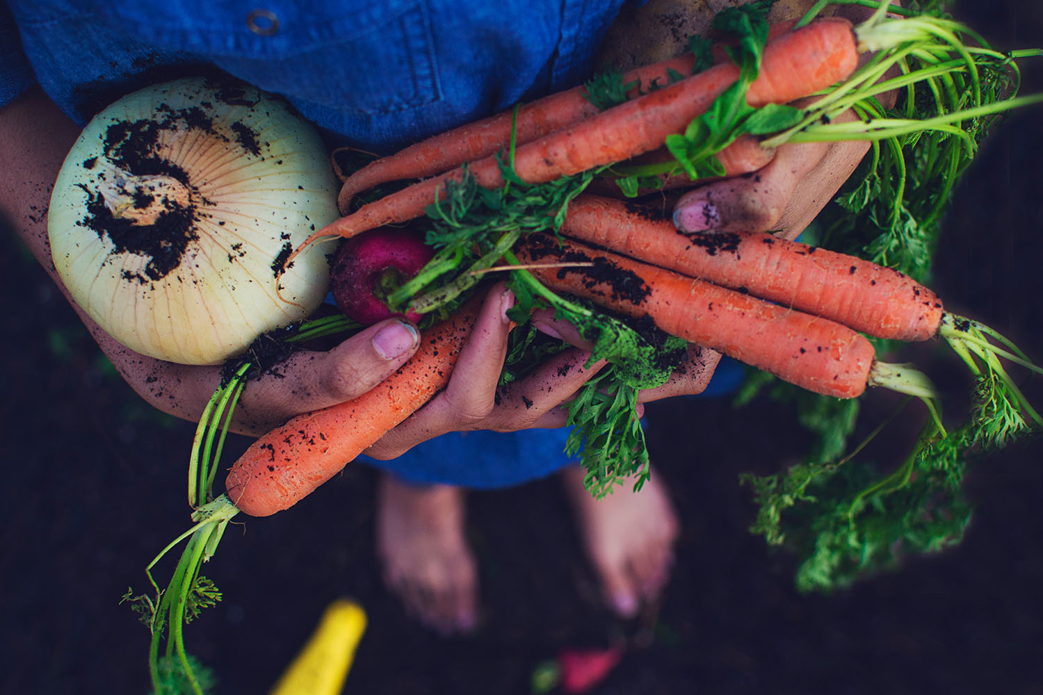 How to grow organic vegetables at home | Better Homes and Gardens