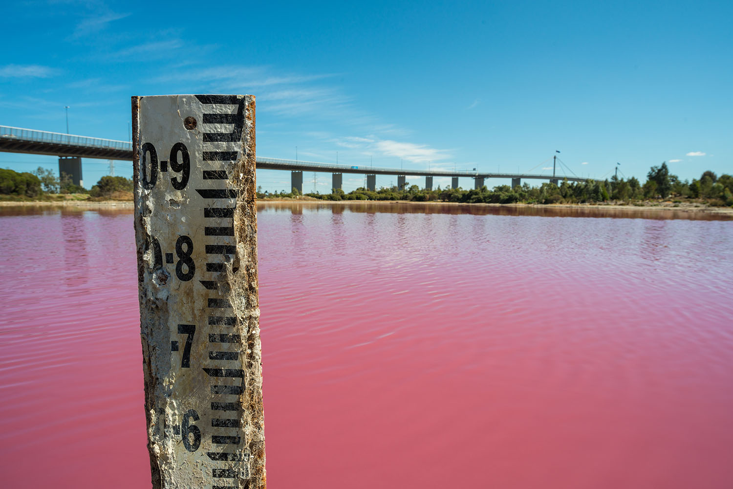 The pink lake in Melbourne that has to be seen to be believed | Better ...