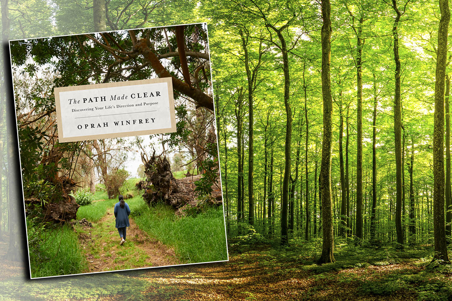 The best books to read: June 2019 edition | Better Homes and Gardens