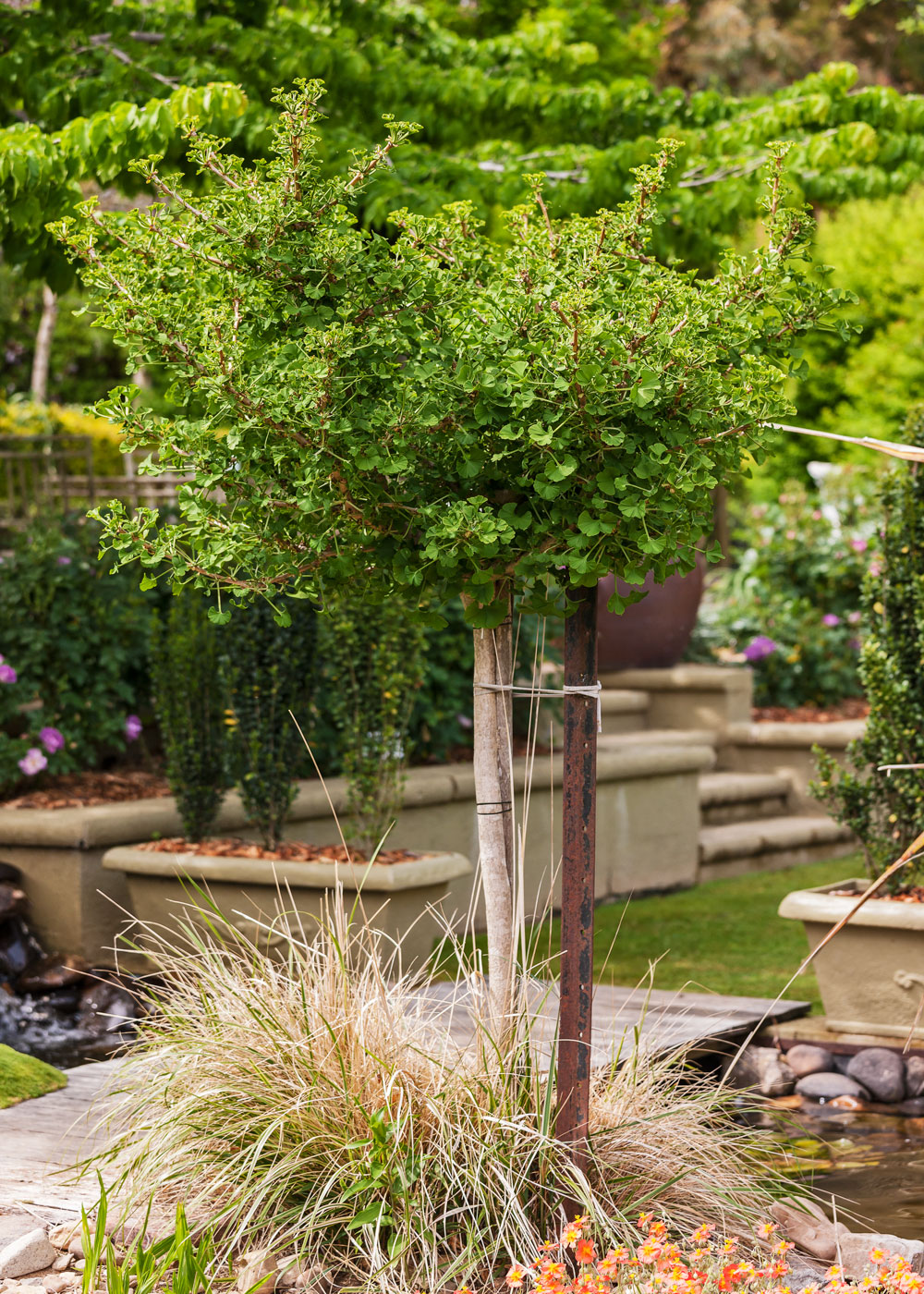 Create a country style garden | Better Homes and Gardens