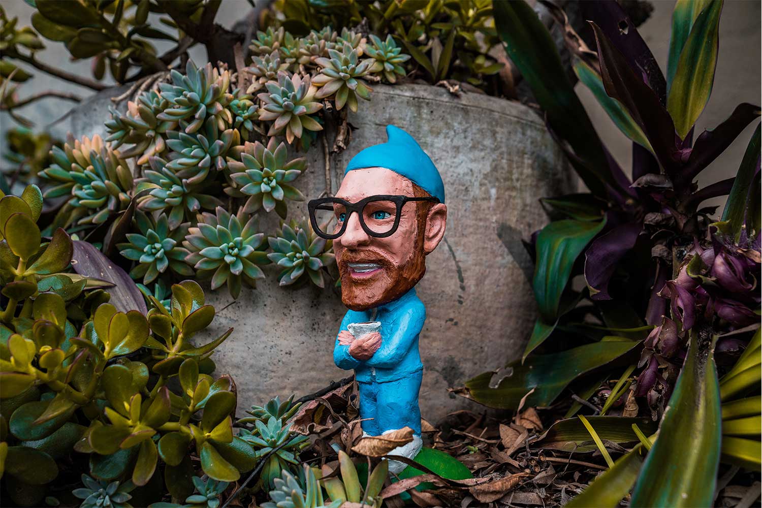 Now you can get your own personalised gnome | Better Homes and Gardens