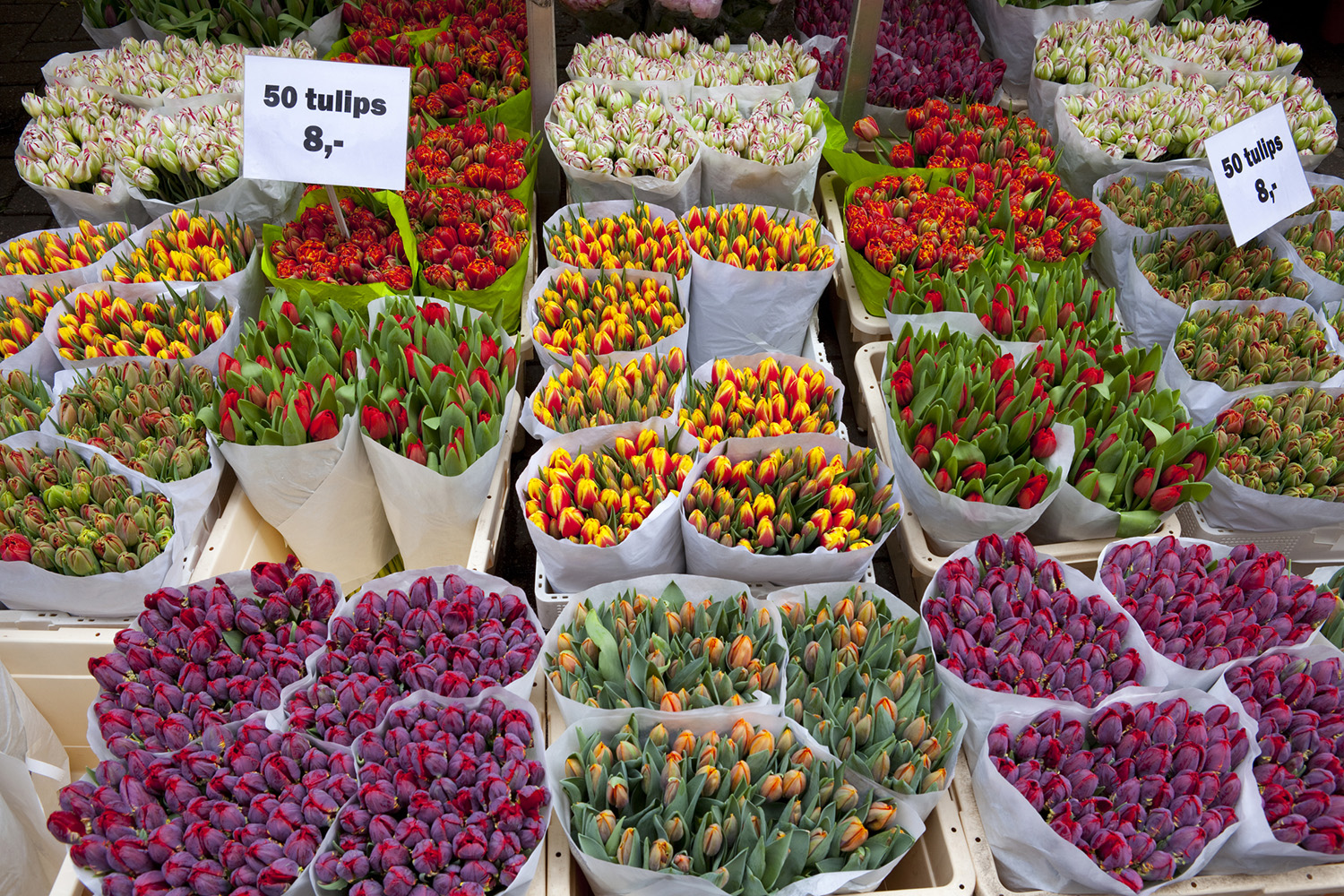 How to Keep Flowers Alive? 12 Tips for Fresh & Long-Lasting Flowers ...