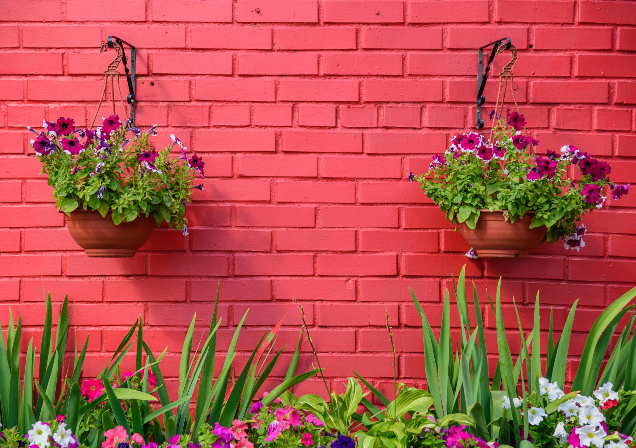 Hanging Pots: 5 Best Hanging Plant Pots | Better Homes and Gardens