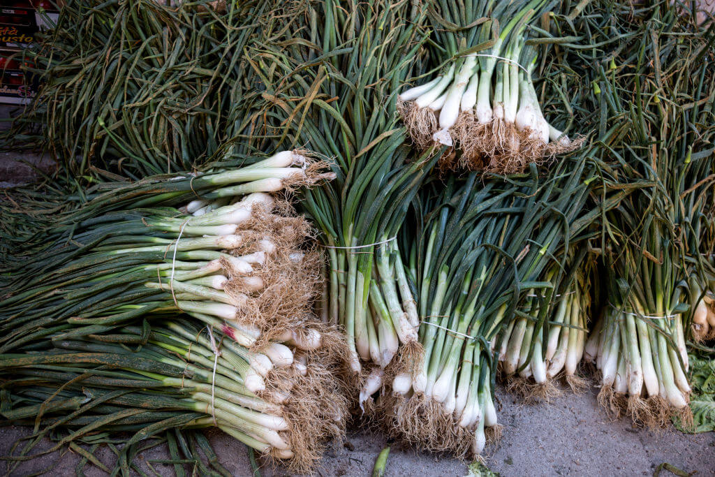 How to Store Onions: Onion lasting Fridge Tips | Better Homes and Gardens