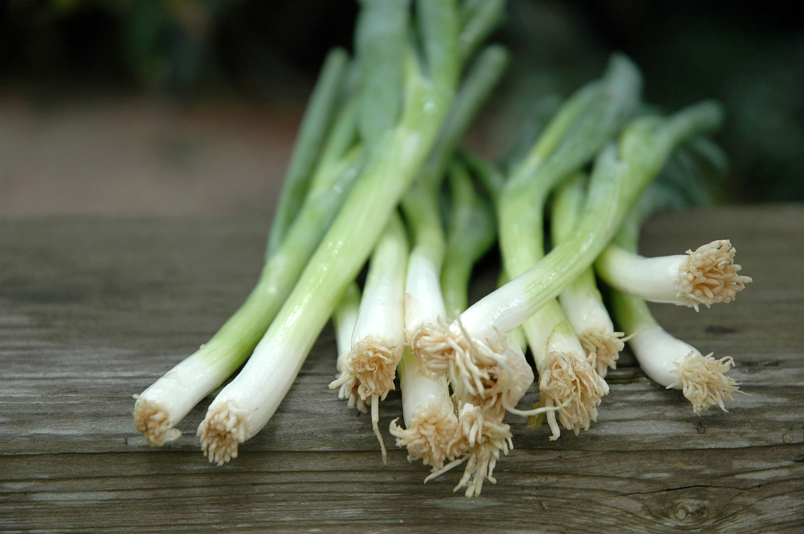What's the difference between scallions, green onions, and spring ...