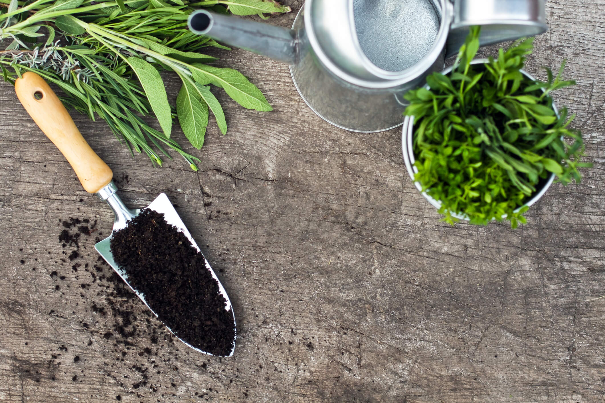 6 best raised planter boxes for your garden | Better Homes and Gardens