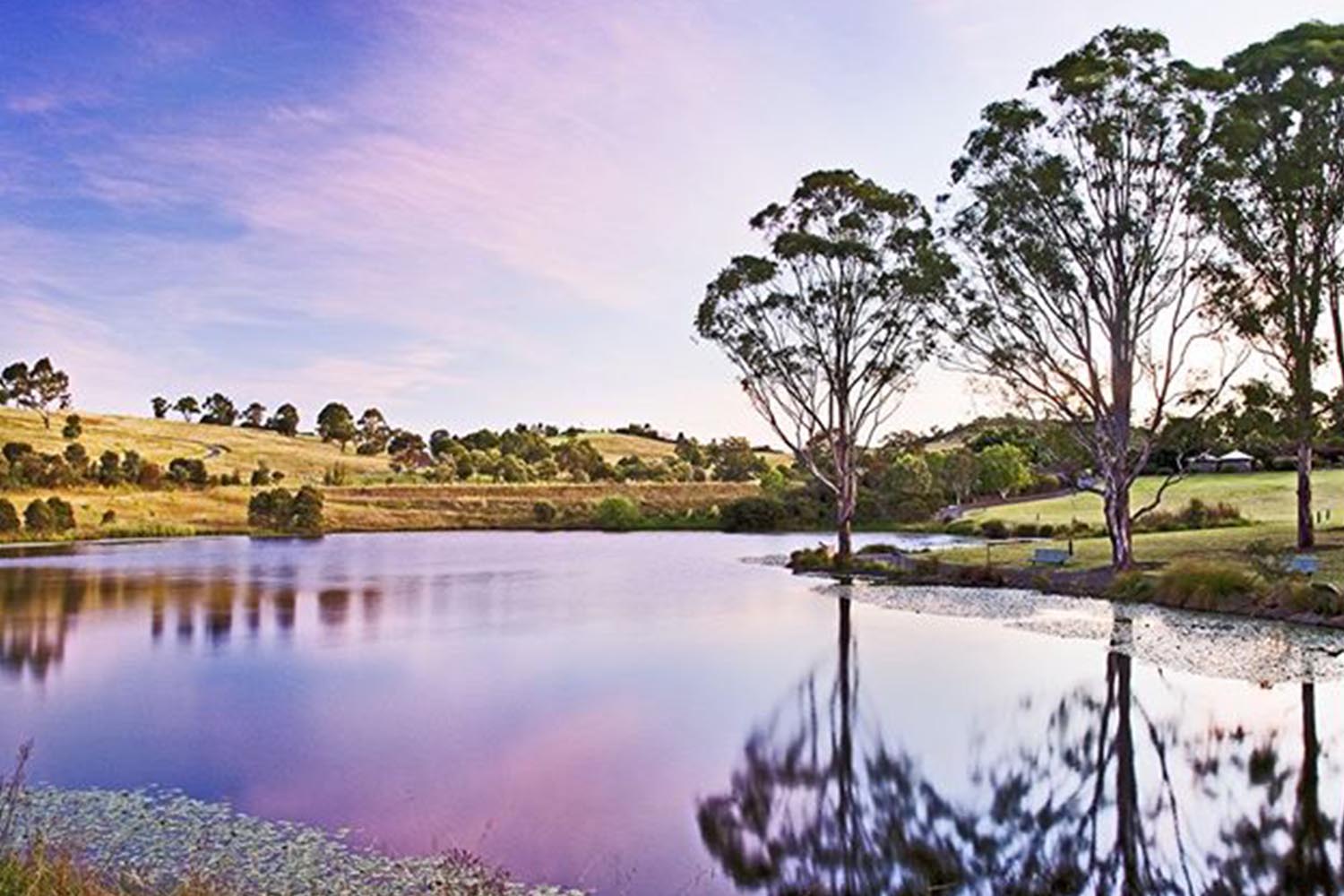 5 of the best walks to see spring flowers in Sydney | Better Homes and ...