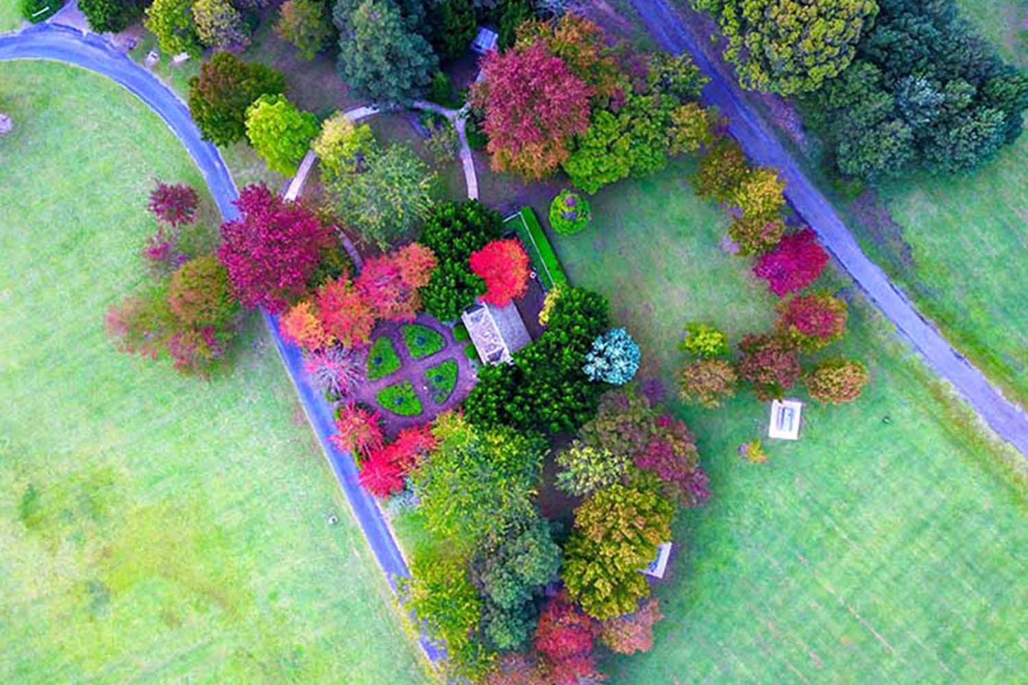 5 of the best walks to see spring flowers in Sydney | Better Homes and ...