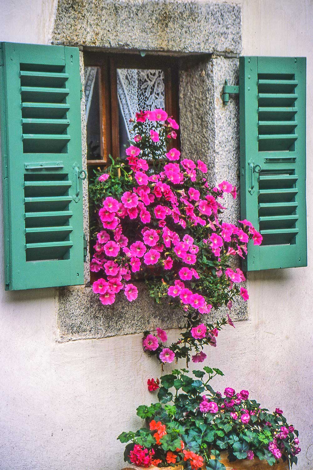 Window box ideas | Better Homes and Gardens