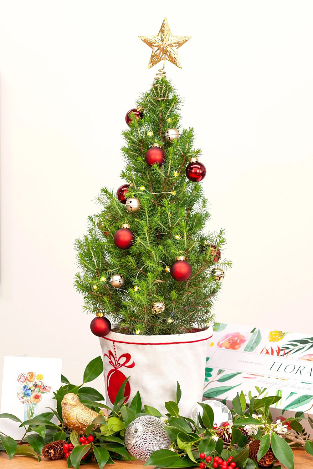 Get a gorgeous real-life mini Christmas tree delivered to your door ...