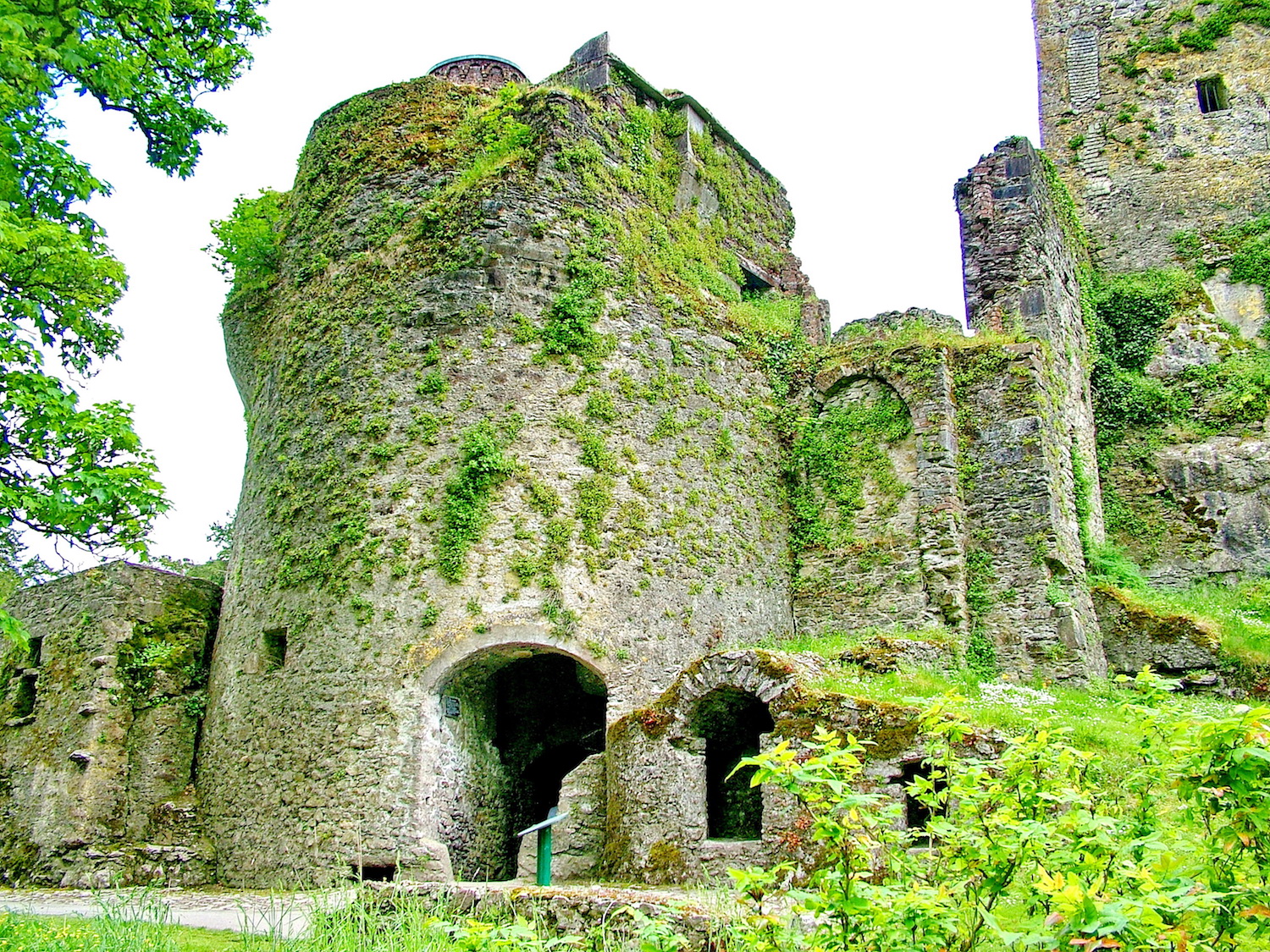 Experience the beauty and history of Ireland | Better Homes and Gardens