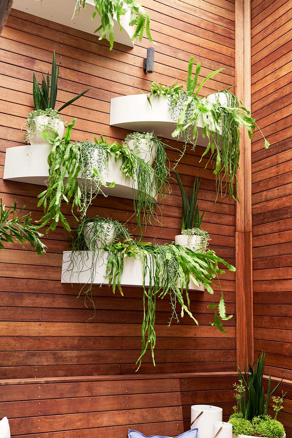 How to create an affordable green wall | Better Homes and Gardens