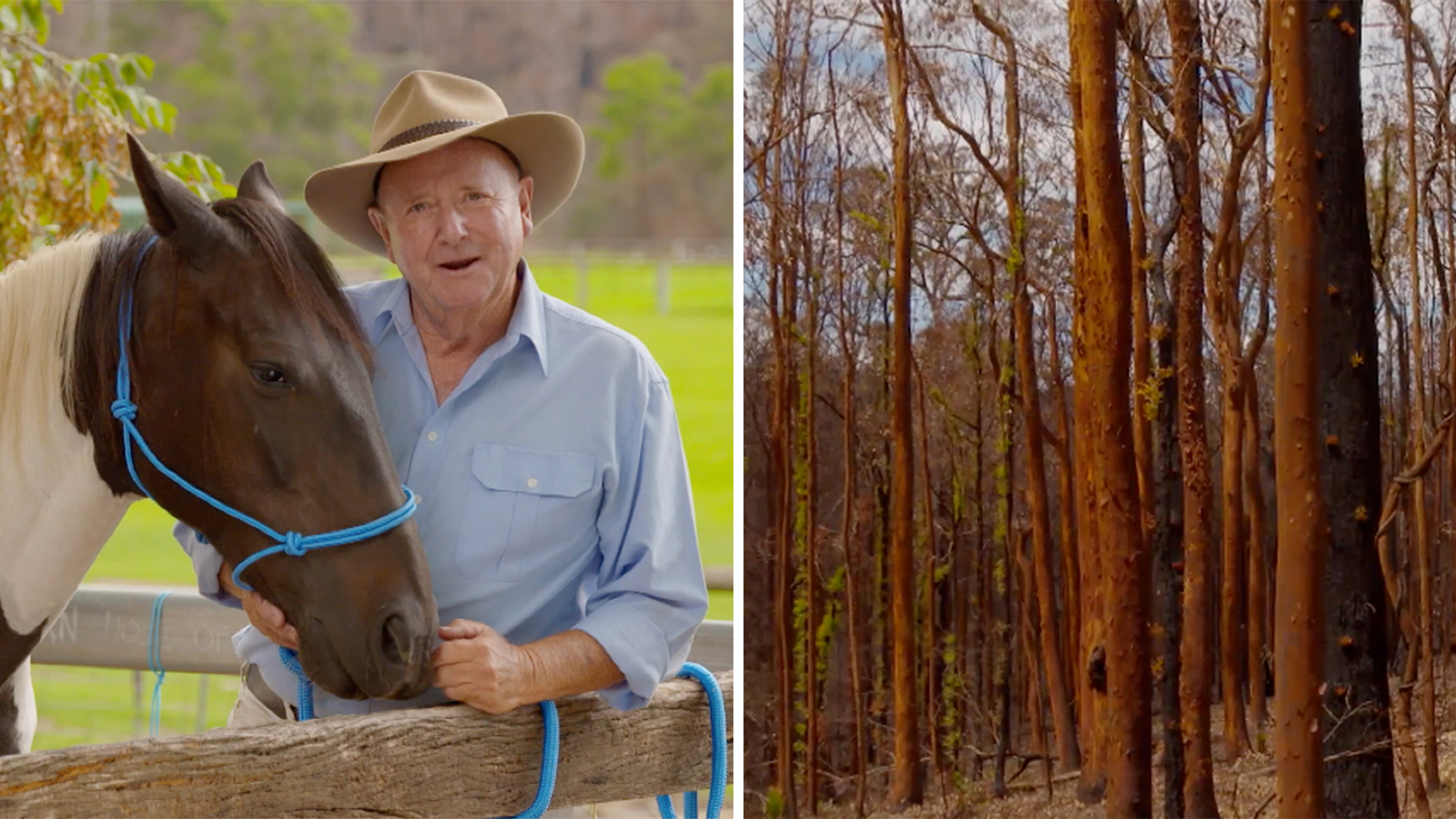Dr Harry meets the survivors of the bushfires | Better Homes and Gardens