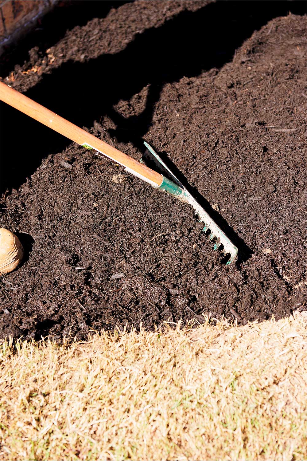 Before and after: Front yard makeover on a budget | Better Homes and ...