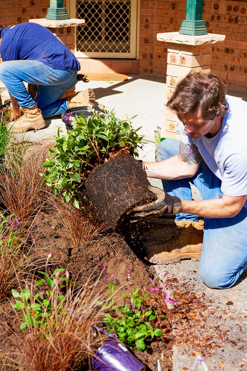 Before and after: Front yard makeover on a budget | Better Homes and ...