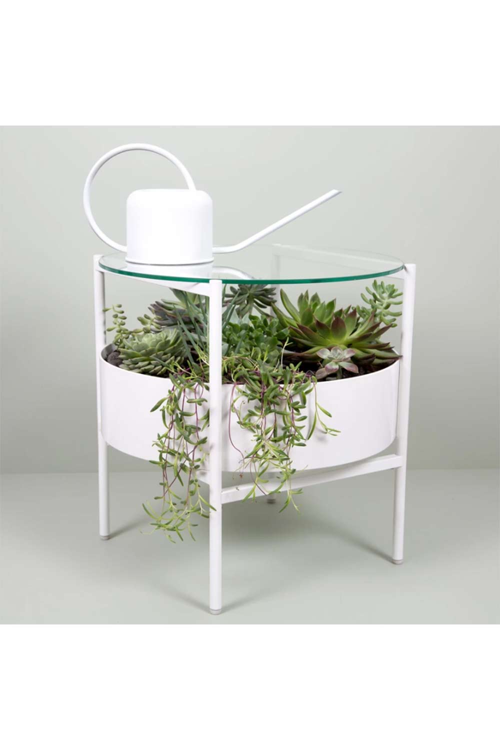 This stylish side table doubles as a terrarium | Better Homes and Gardens