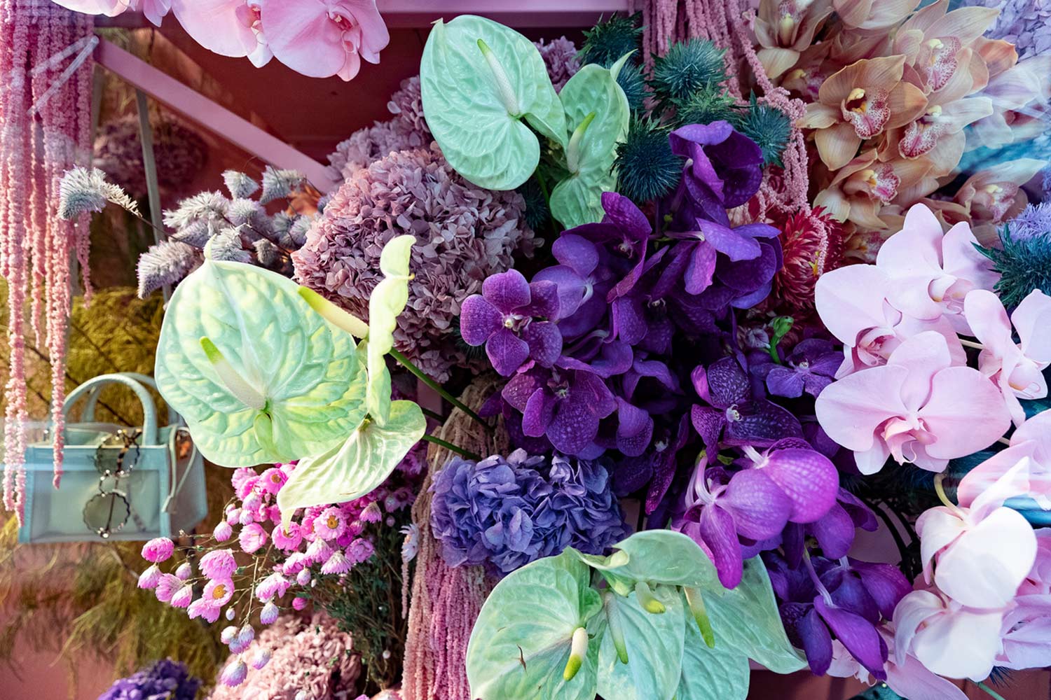 You can now take a virtual tour of David Jones' spring flower show ...