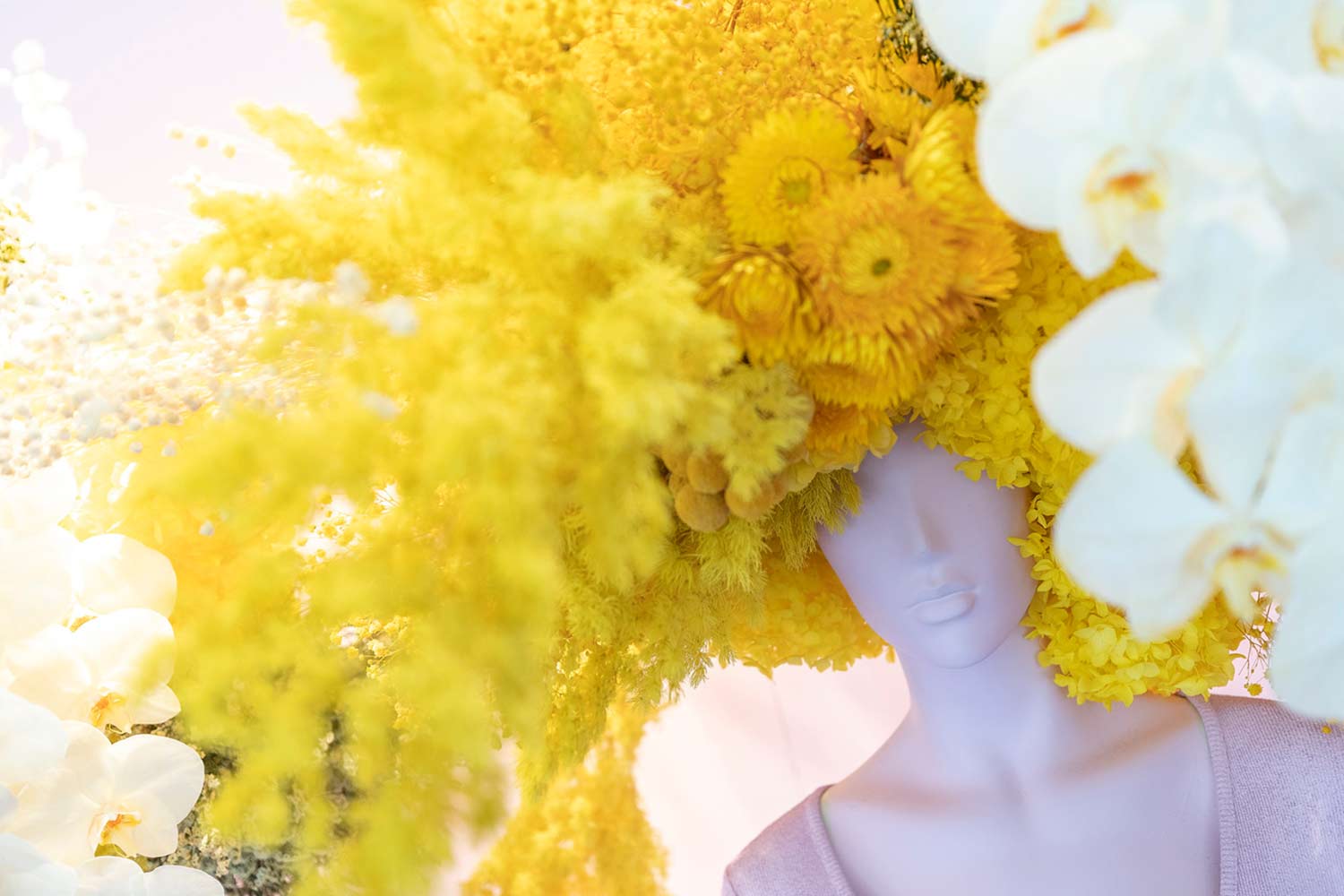 You can now take a virtual tour of David Jones' spring flower show ...