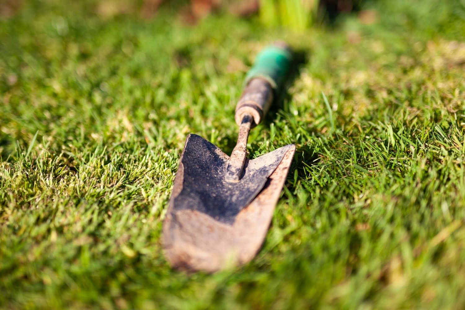 How to remove rust from garden tools | Better Homes and Gardens