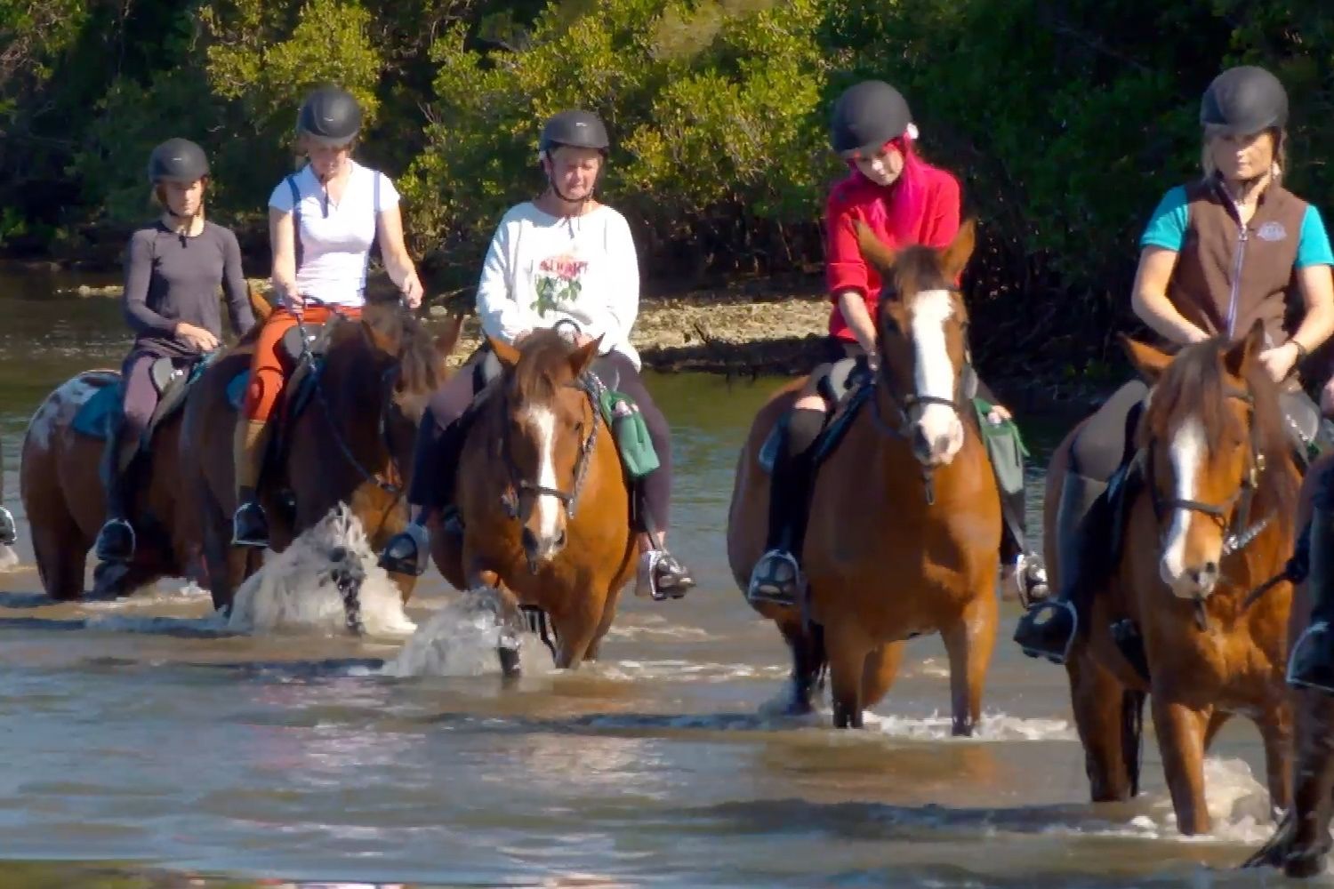 Horse riding for beginners | Better Homes and Gardens