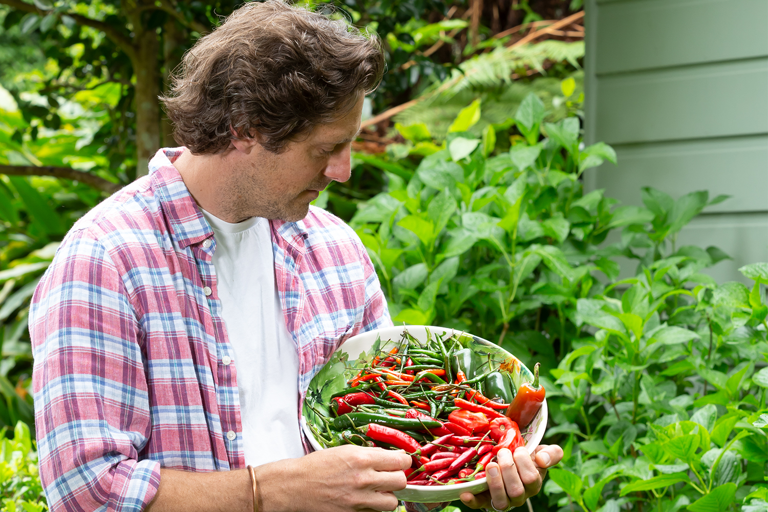 How to grow chillies | Better Homes and Gardens