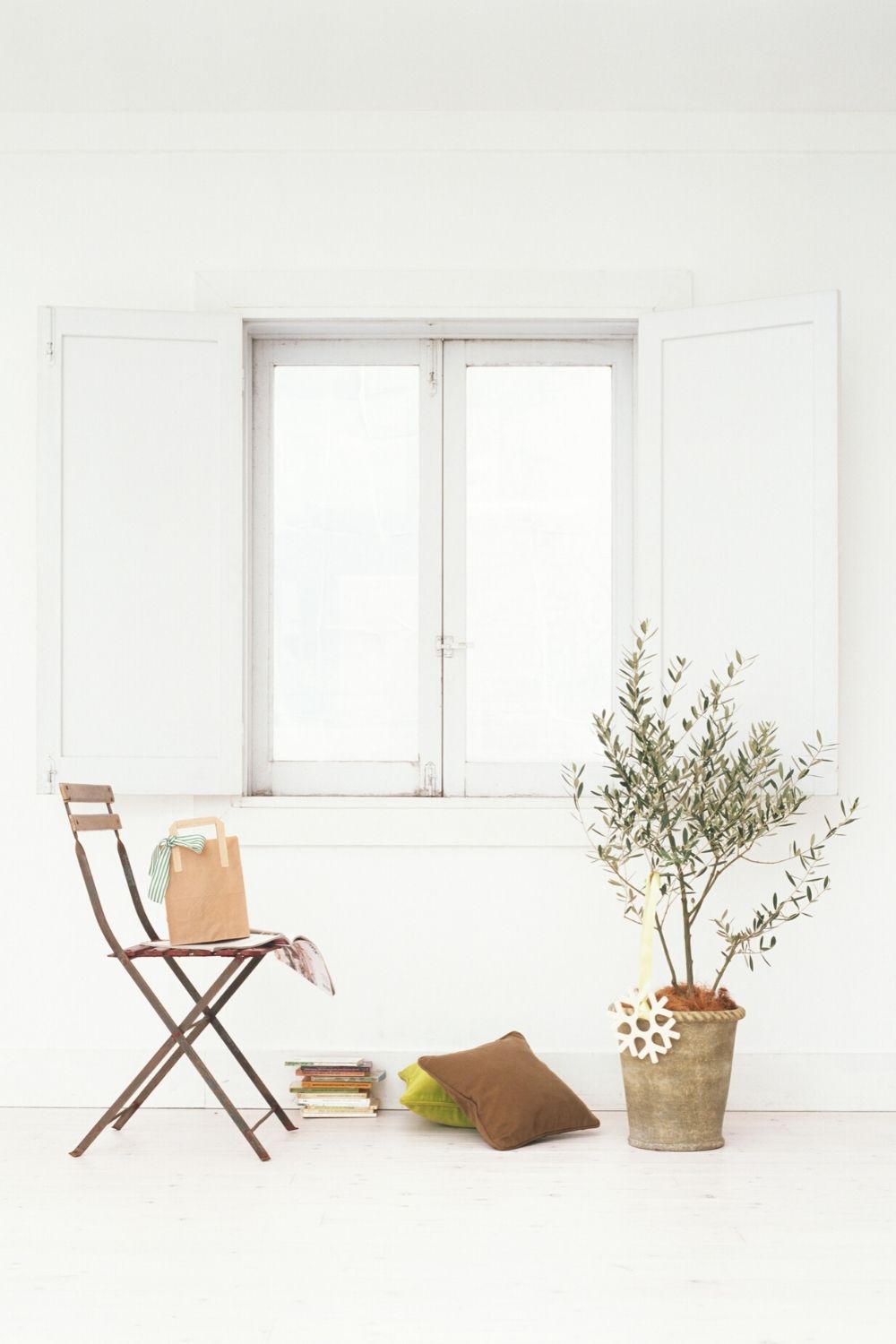 Step by Step: How to Grow the Best Olive Trees | Better Homes and Gardens