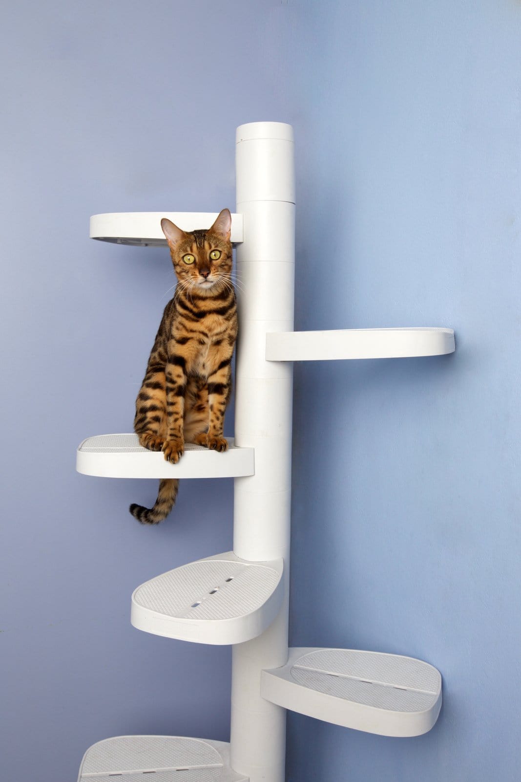 8 stylish cat trees your feline will love | Better Homes and Gardens