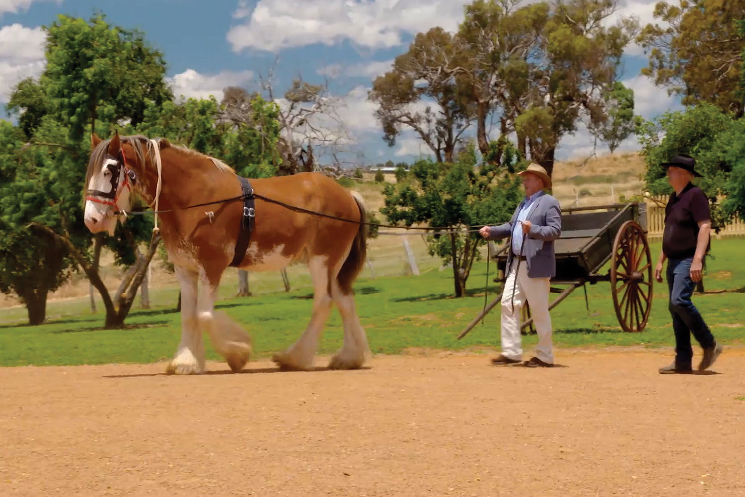 Dr Harry visits Cooma Cottage | Better Homes and Gardens
