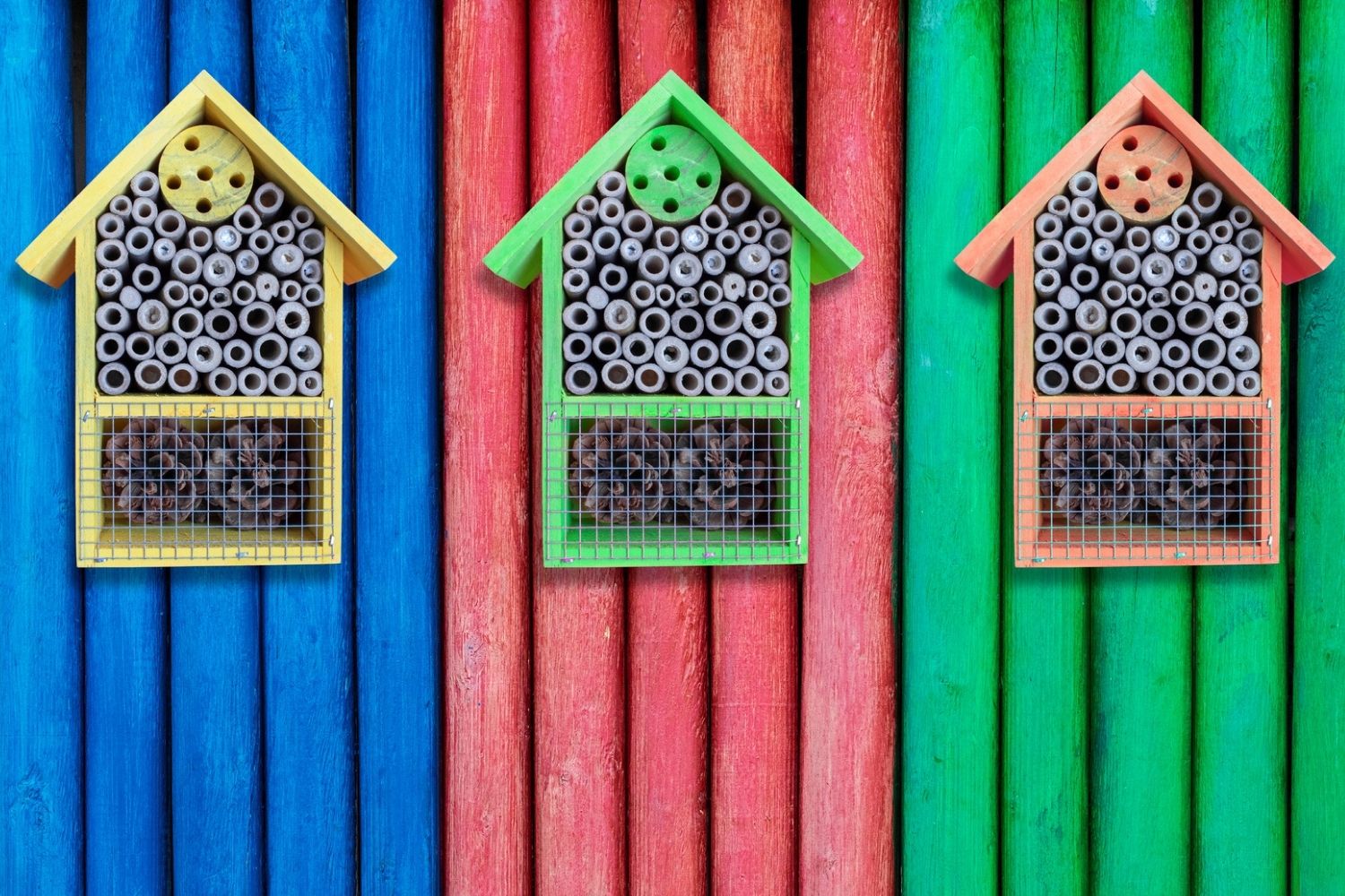 How to make a bug hotel to attract beneficial insects | Better Homes ...