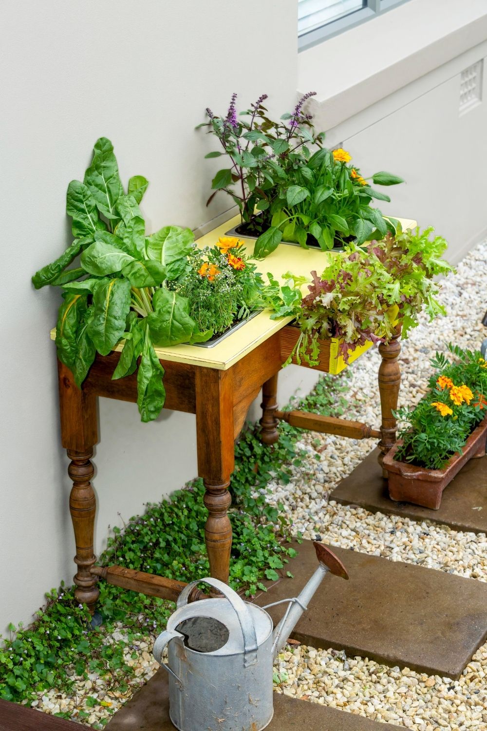 Melissa makes a lettuce table planter | Better Homes and Gardens
