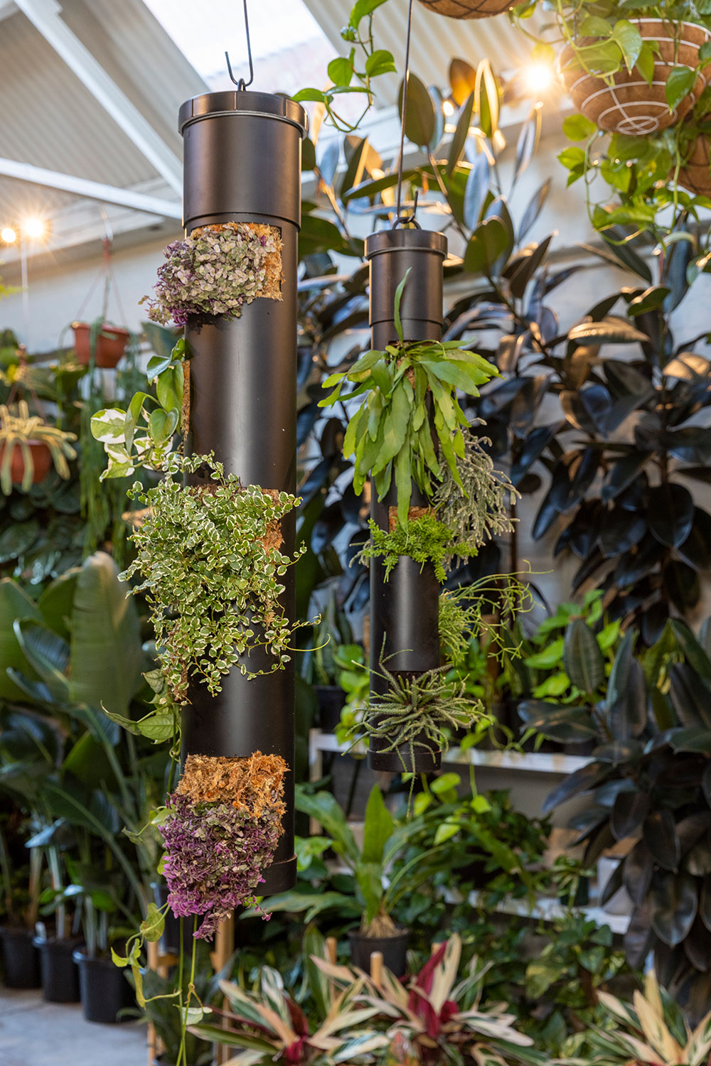 Melissa makes a PVC pipe hanging planter | Better Homes and Gardens