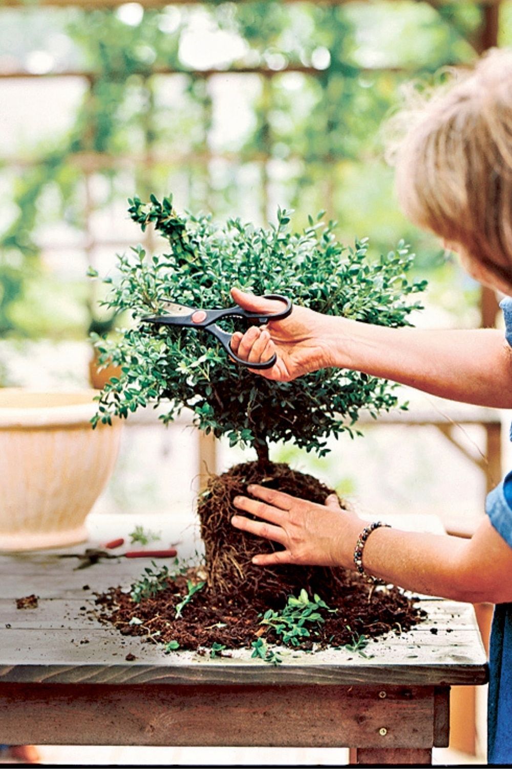 How to make a topiary animal for your garden | Better Homes and Gardens