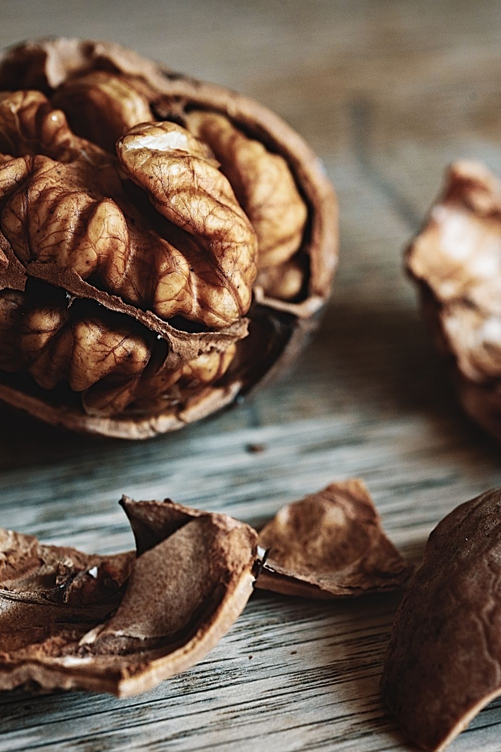 How to grow nuts in Australia | Better Homes and Gardens