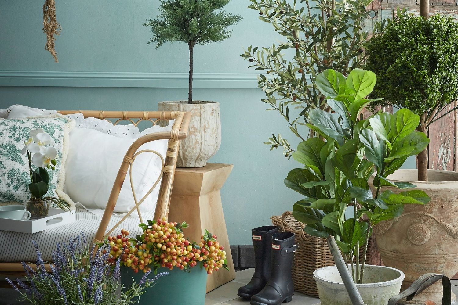 The best balcony-friendly trees | Better Homes and Gardens