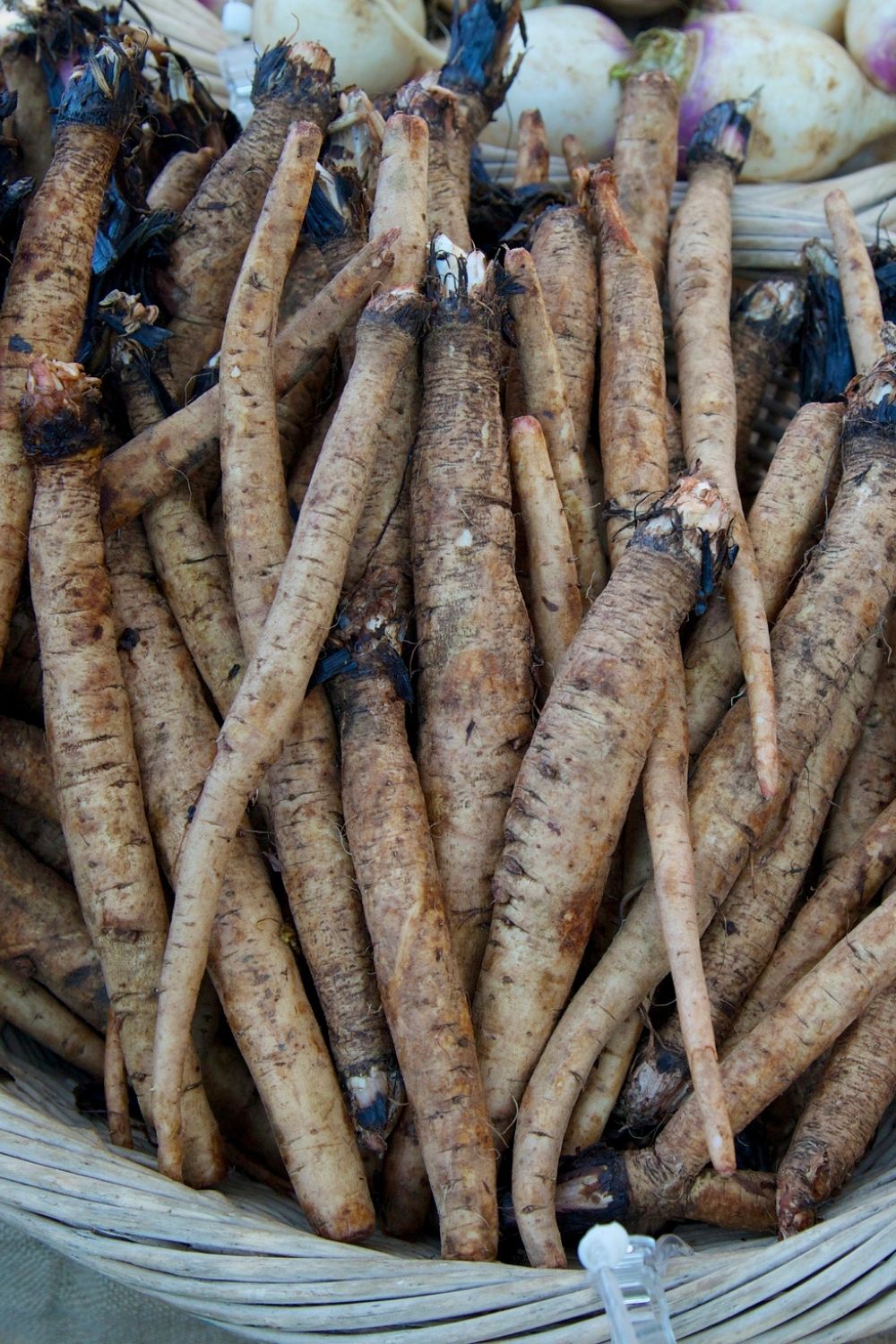 10 teas and infusions to keep you healthy | Better Homes and Gardens