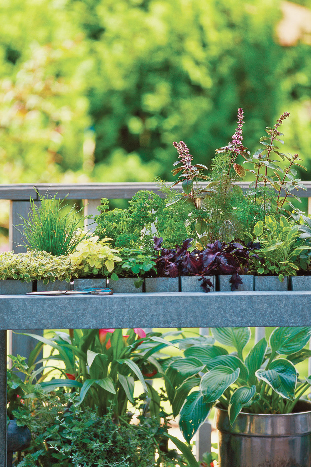 15 outdoor entertaining tips for spring and summer | Better Homes and ...