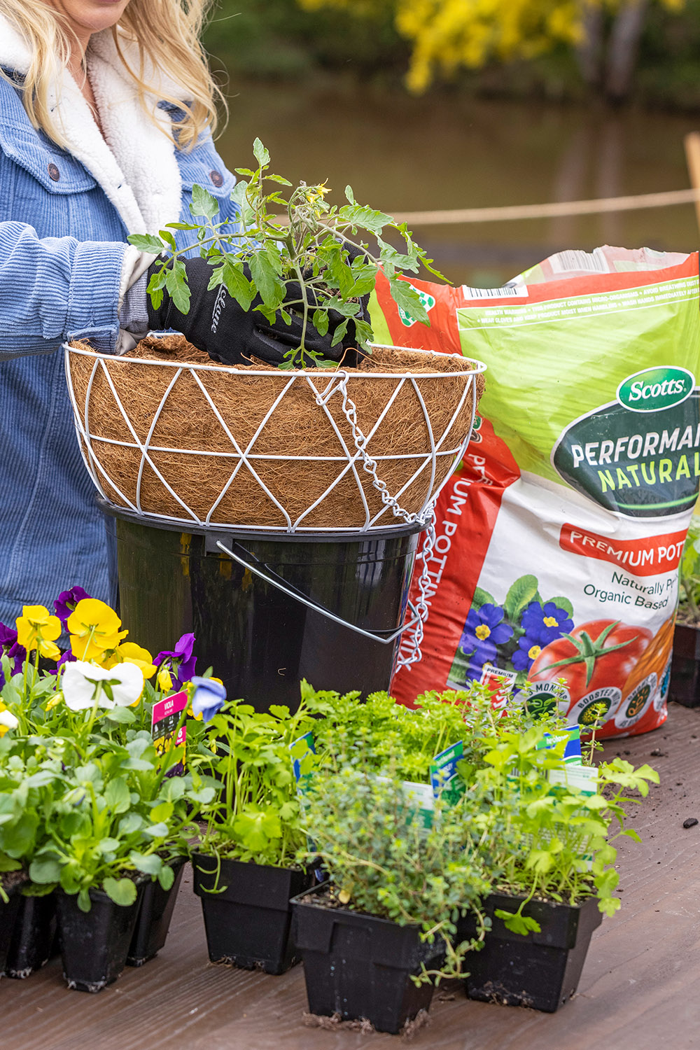 How to make an upside-down hanging tomato plant | Better Homes and Gardens