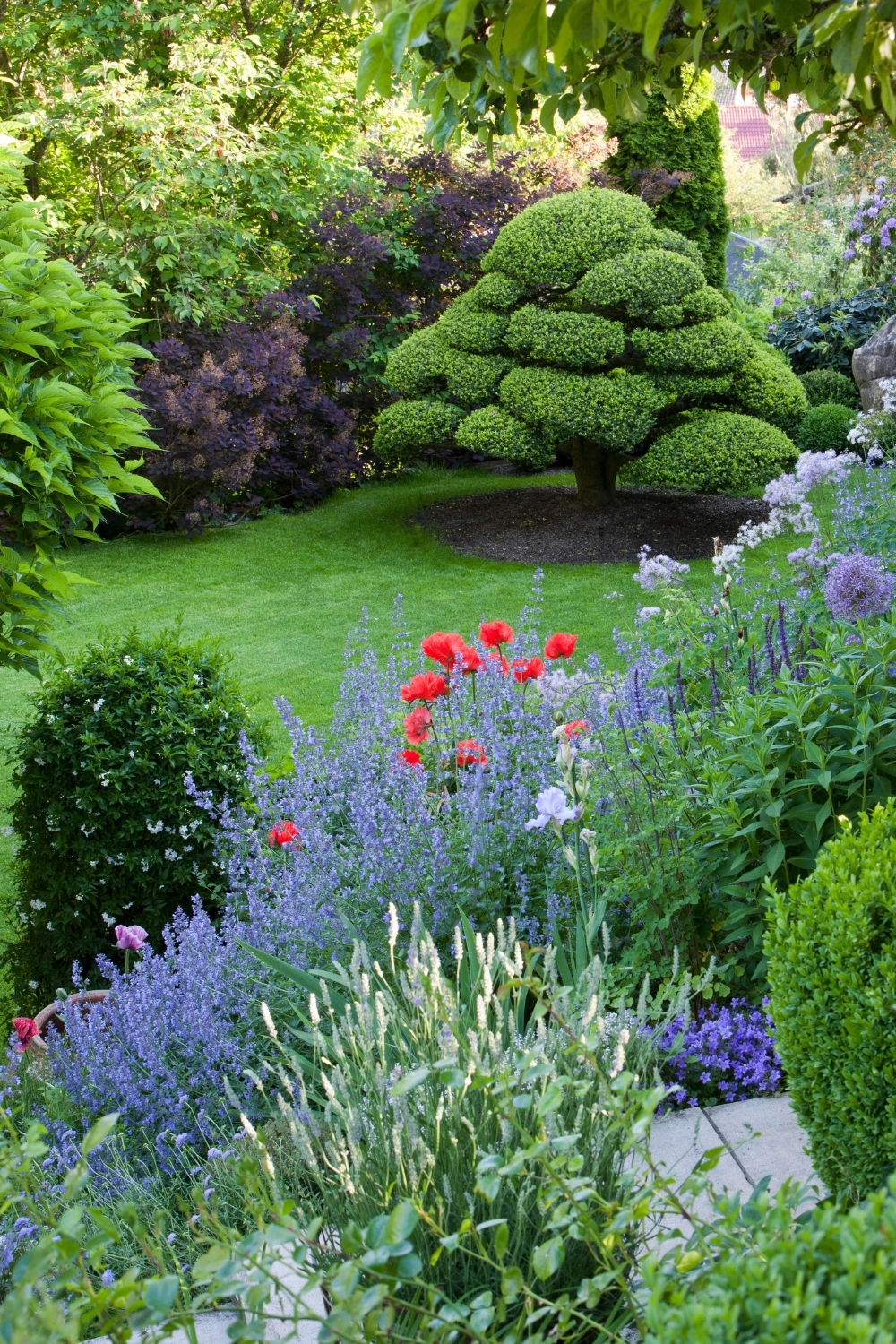 How to cloud prune | Better Homes and Gardens